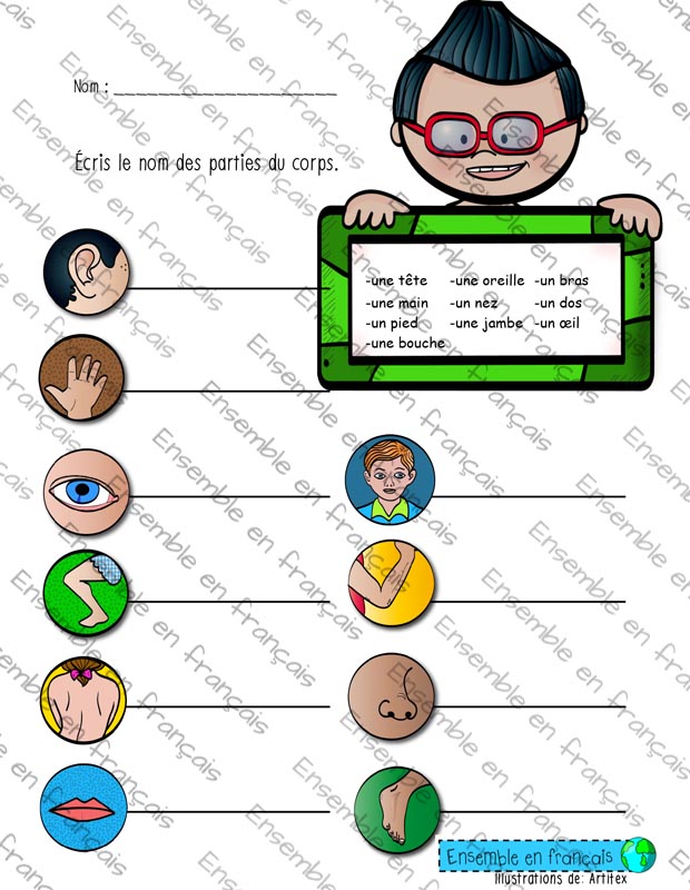 10. Corps humain – Page 4 – Ensemble en Français